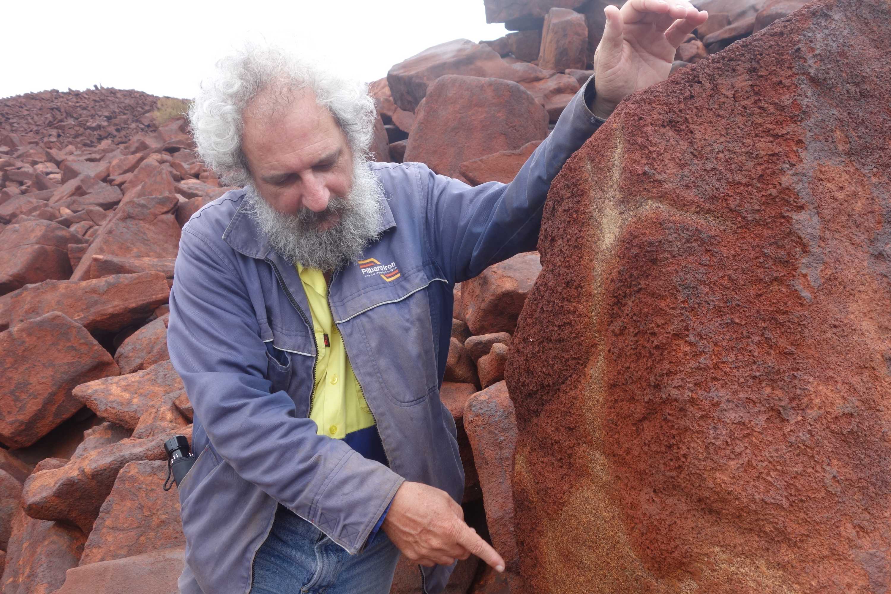 Burrup Peninsula rock art shows extinct megafauna and Tasmanian tigers ...