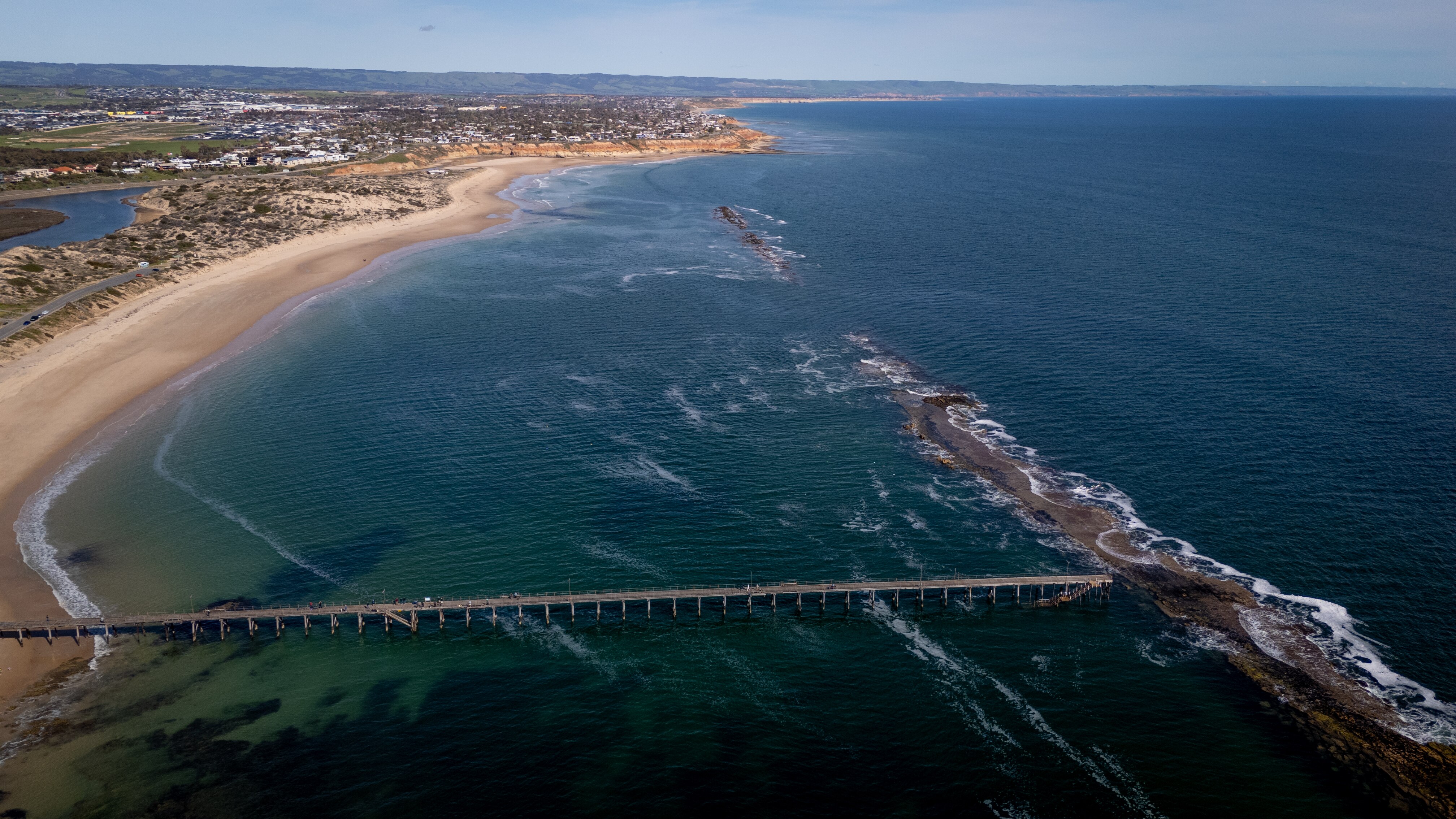 Algal bloom chief asked about 'disaster' declaration as inquiry told of ...