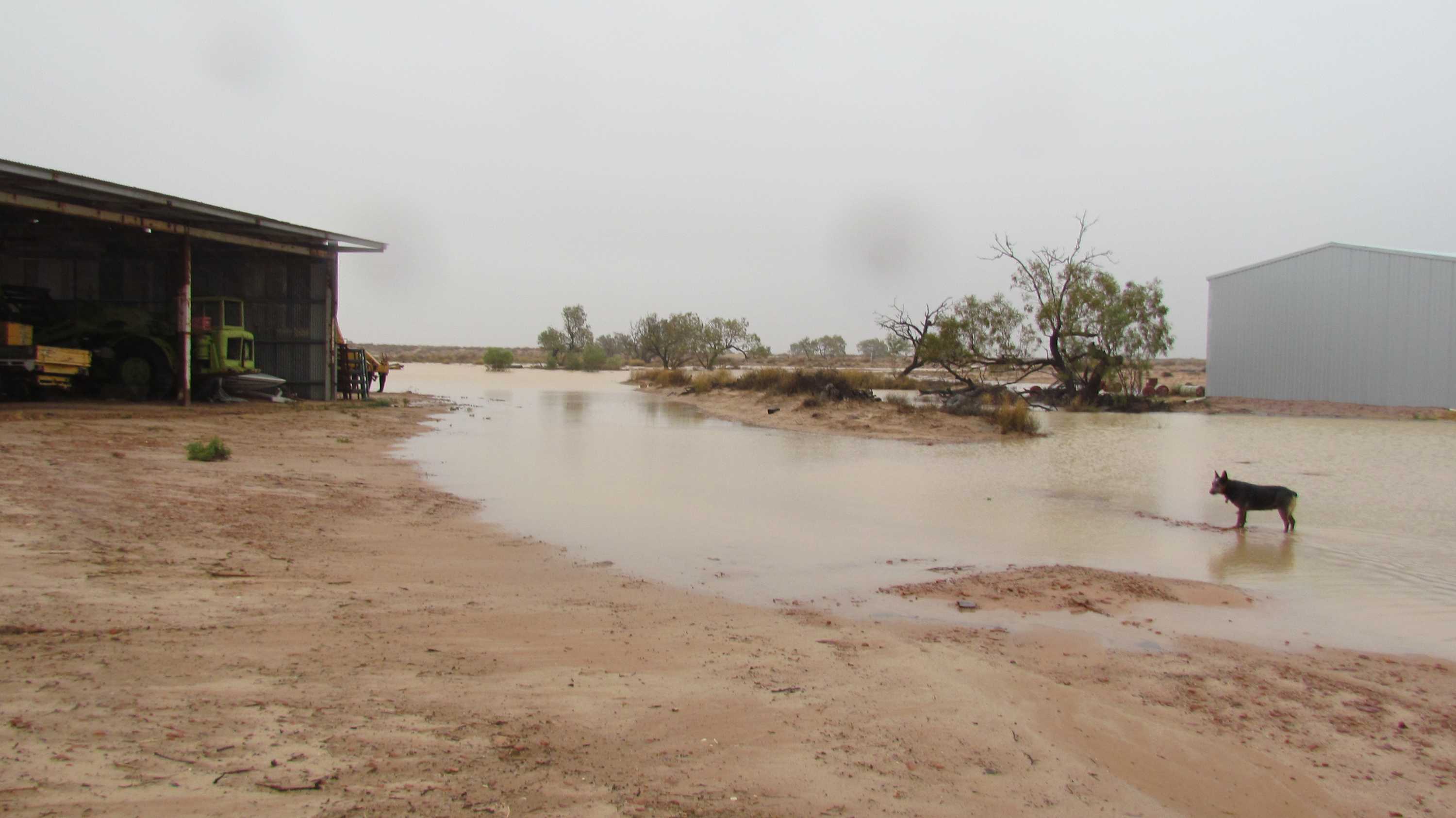 Outback South Australia awash with huge unseasonal rain - ABC News