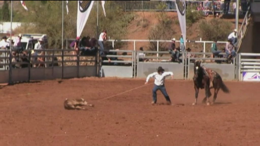 Rodeo practice outrages animal welfare groups - ABC News