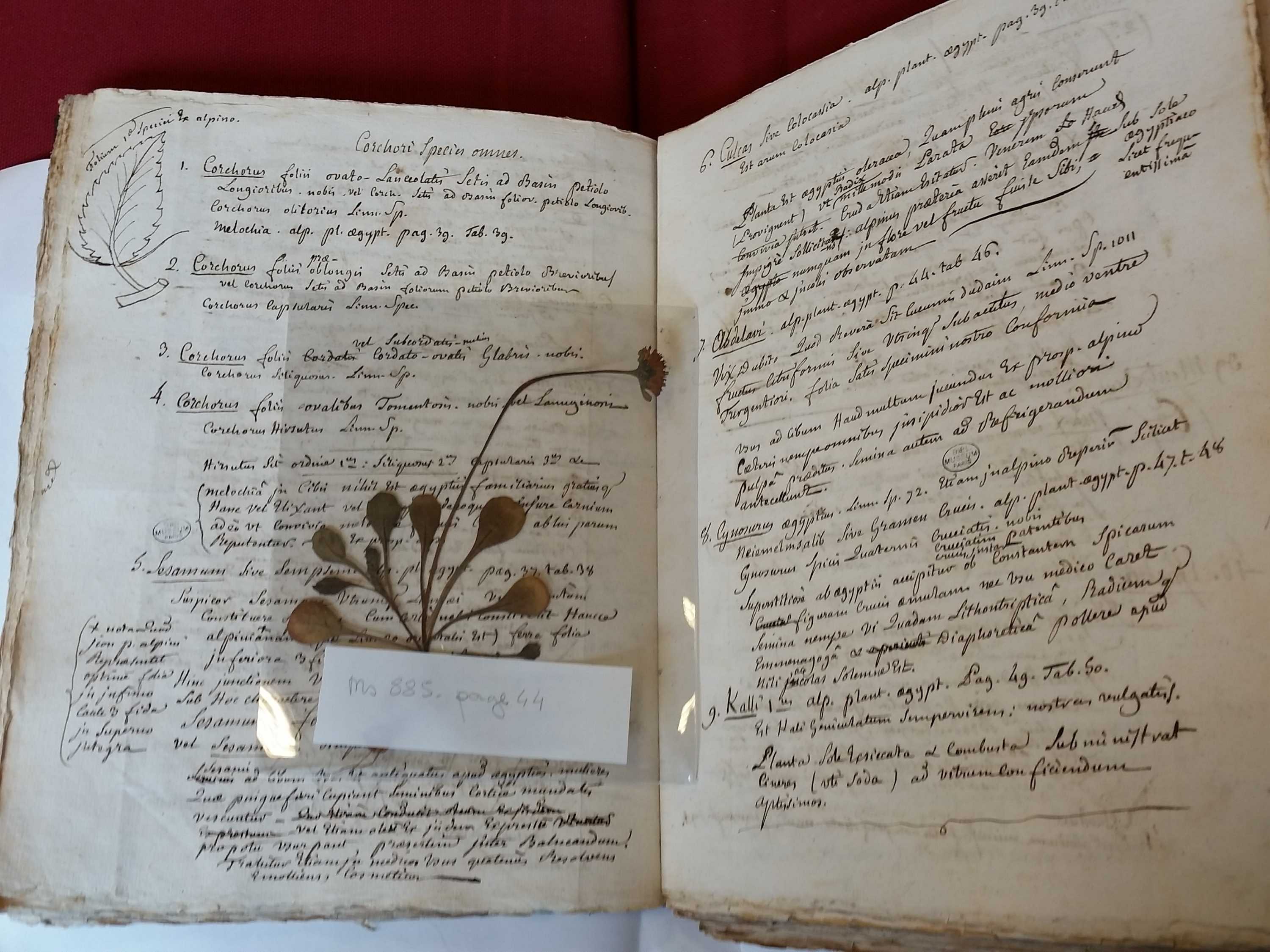 The lost journal of Jeanne Barret: Part 2 - ABC listen