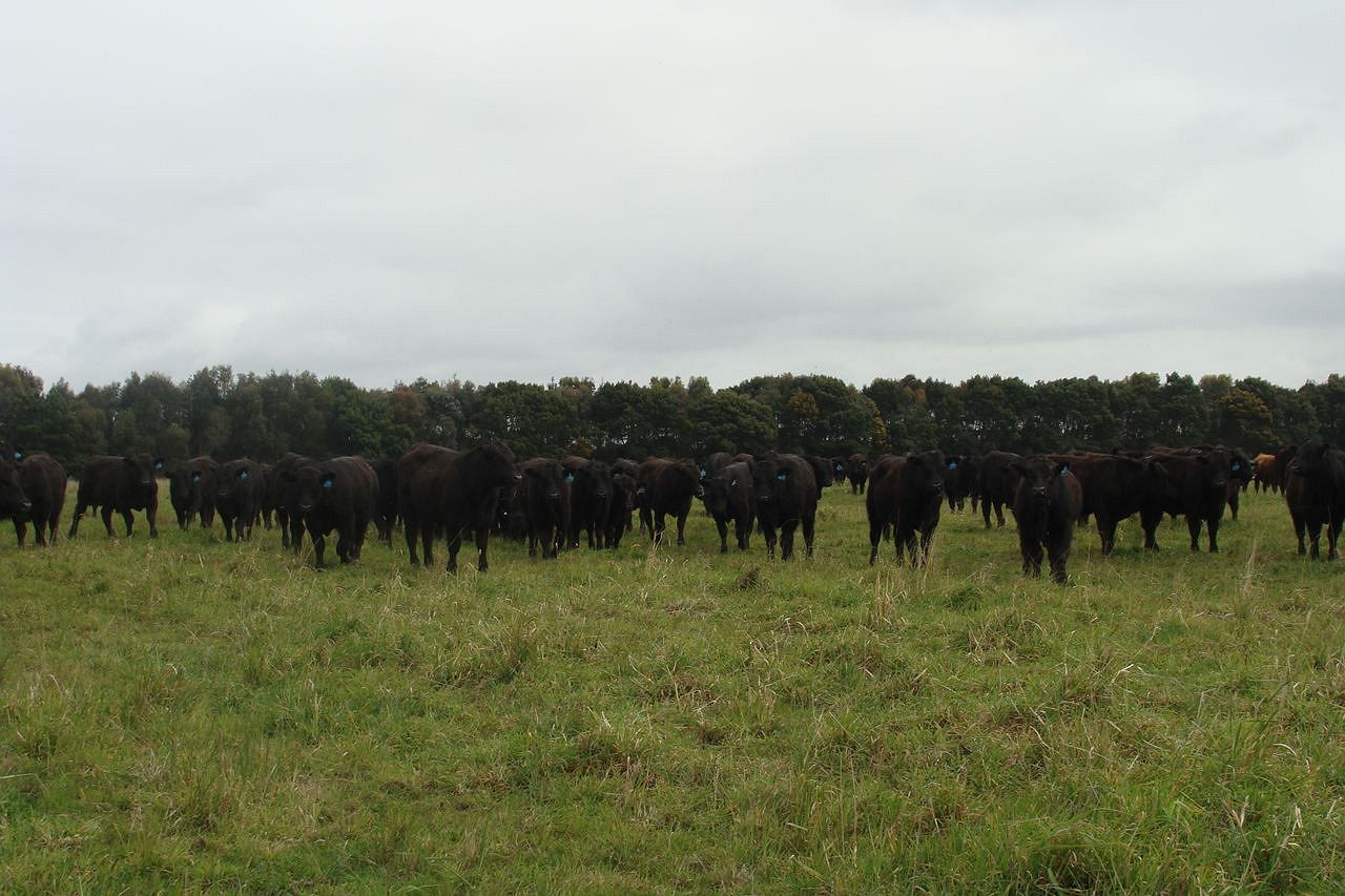 Western Australia Country Hour - ABC listen
