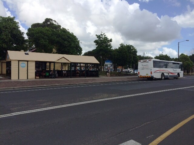 Byron Mayor calls for a stop to bus terminal plans - ABC News