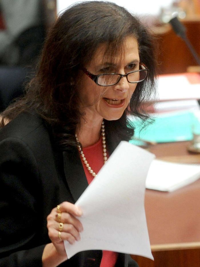 Disengagement is the root cause of radicalisation: Senator Concetta ...