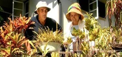 Traditional Darwin Garden - Gardening Australia