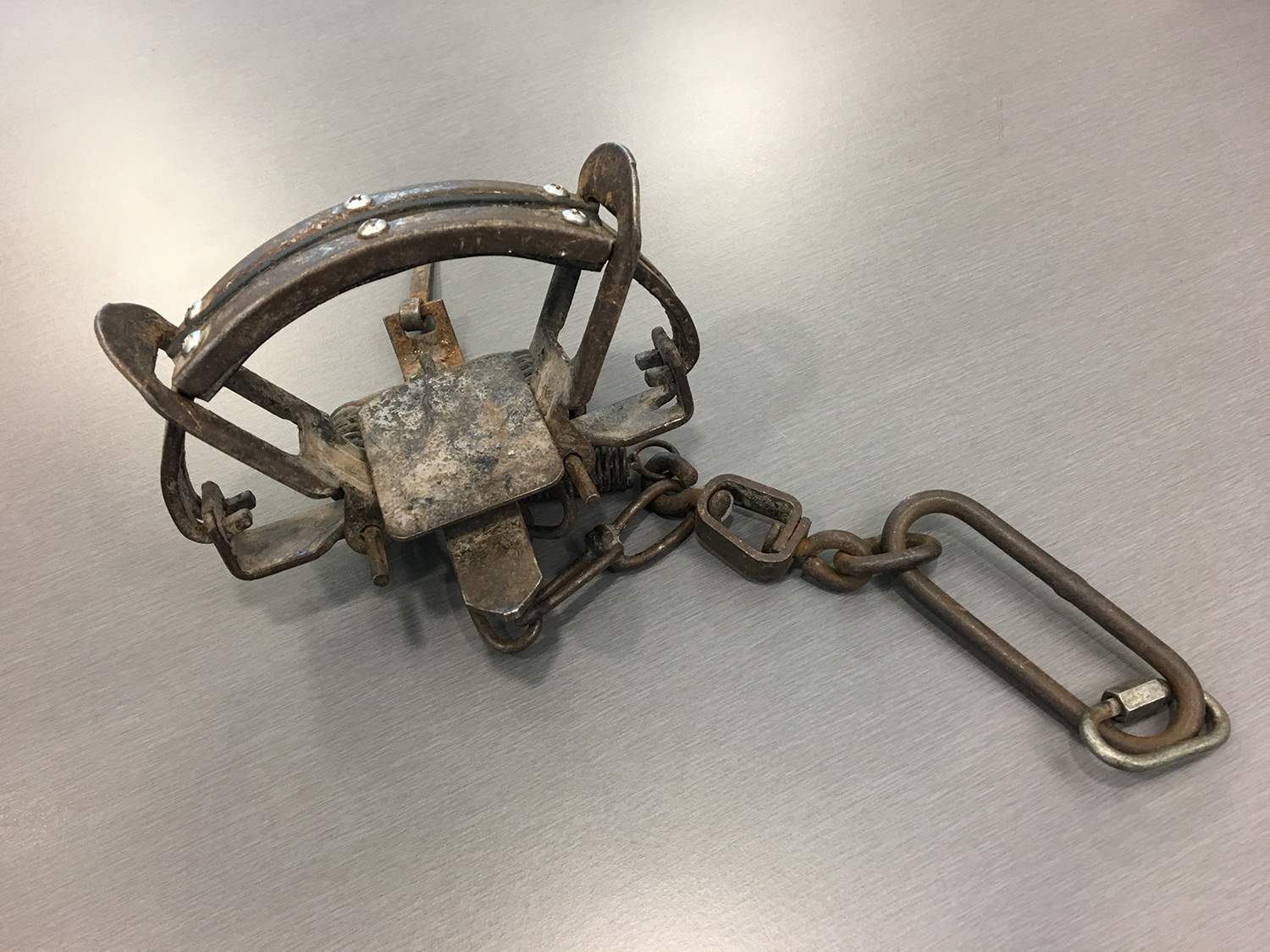 Leg trap set near children's play area in Brisbane - ABC News