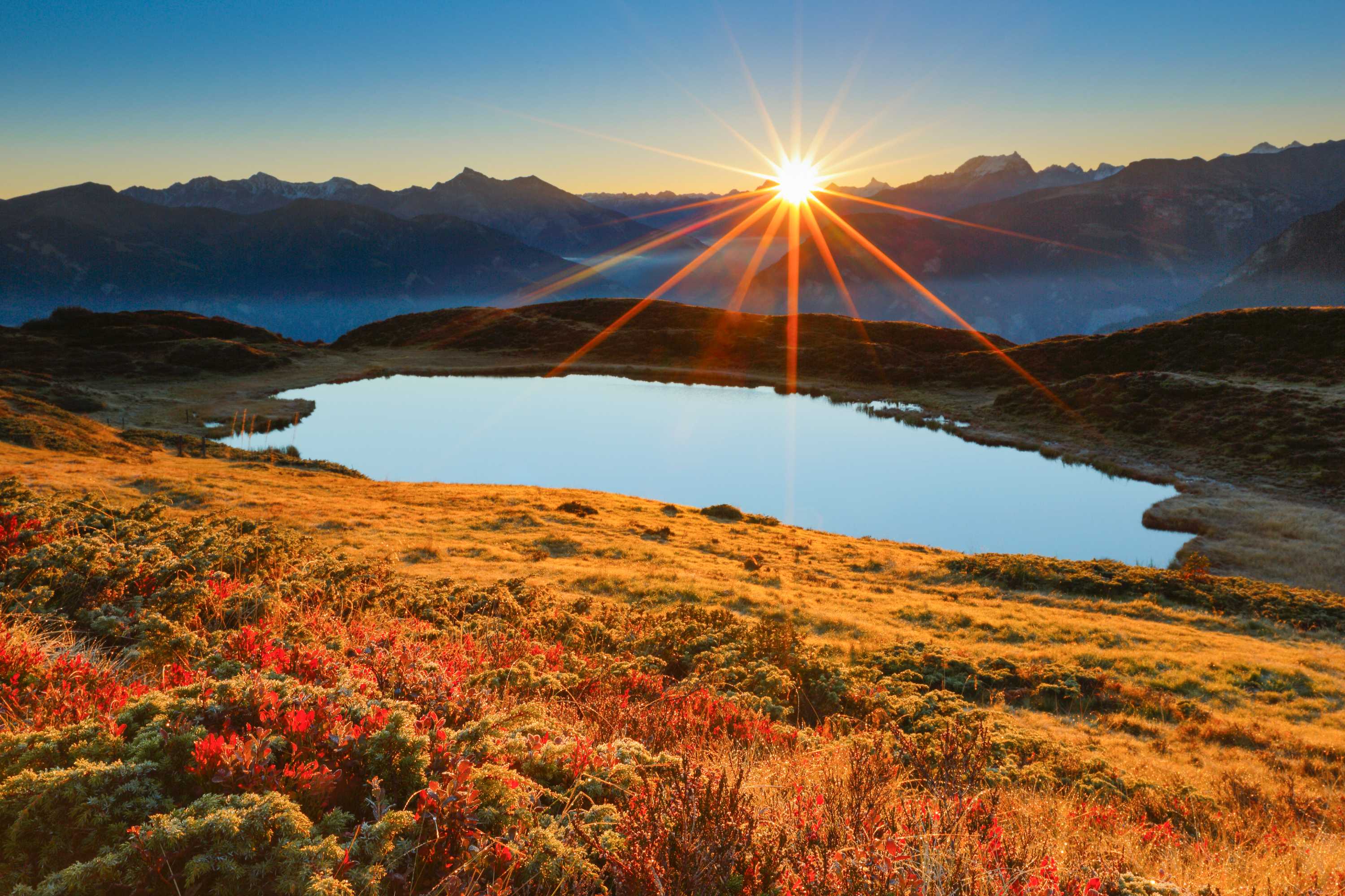 By rejecting the Enlightenment legacy, woke thinking plays into the ...