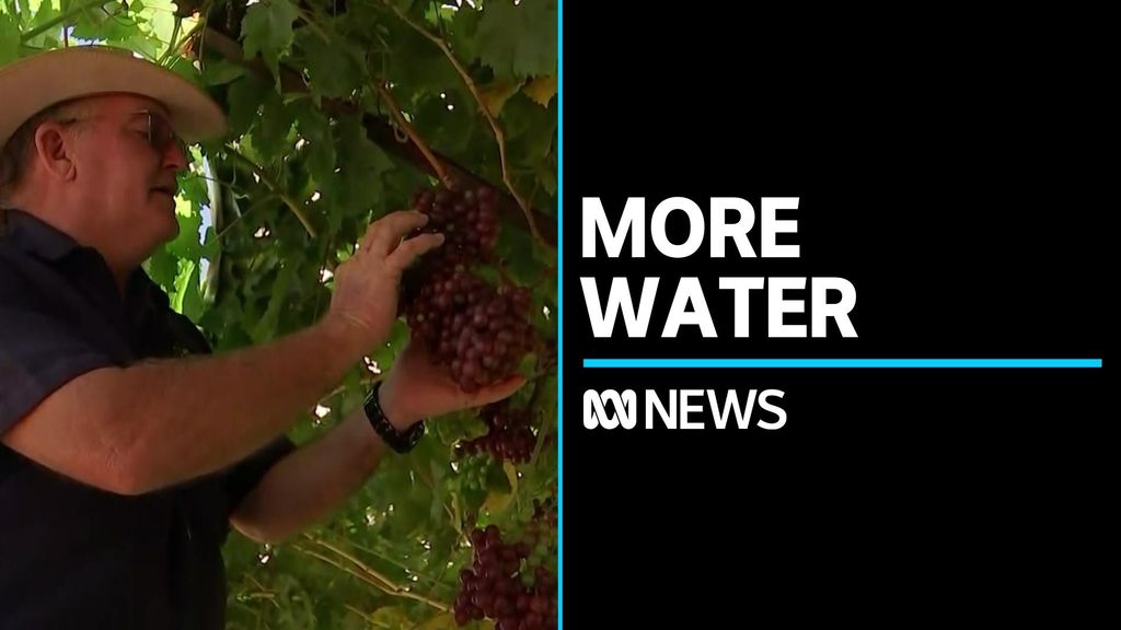 Queensland's second largest dam reaches highest level in years - ABC News
