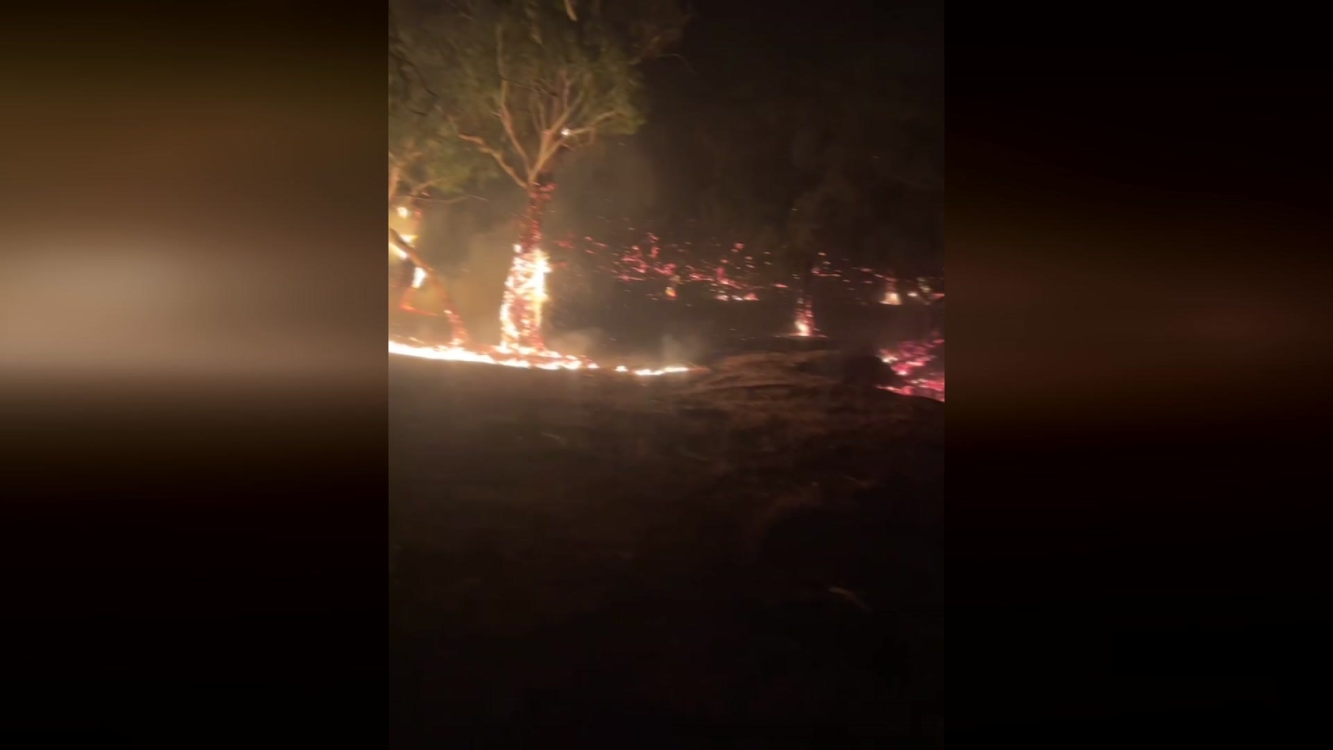 Rowing machine comes to life in Mackay during Cyclone Koji - ABC News