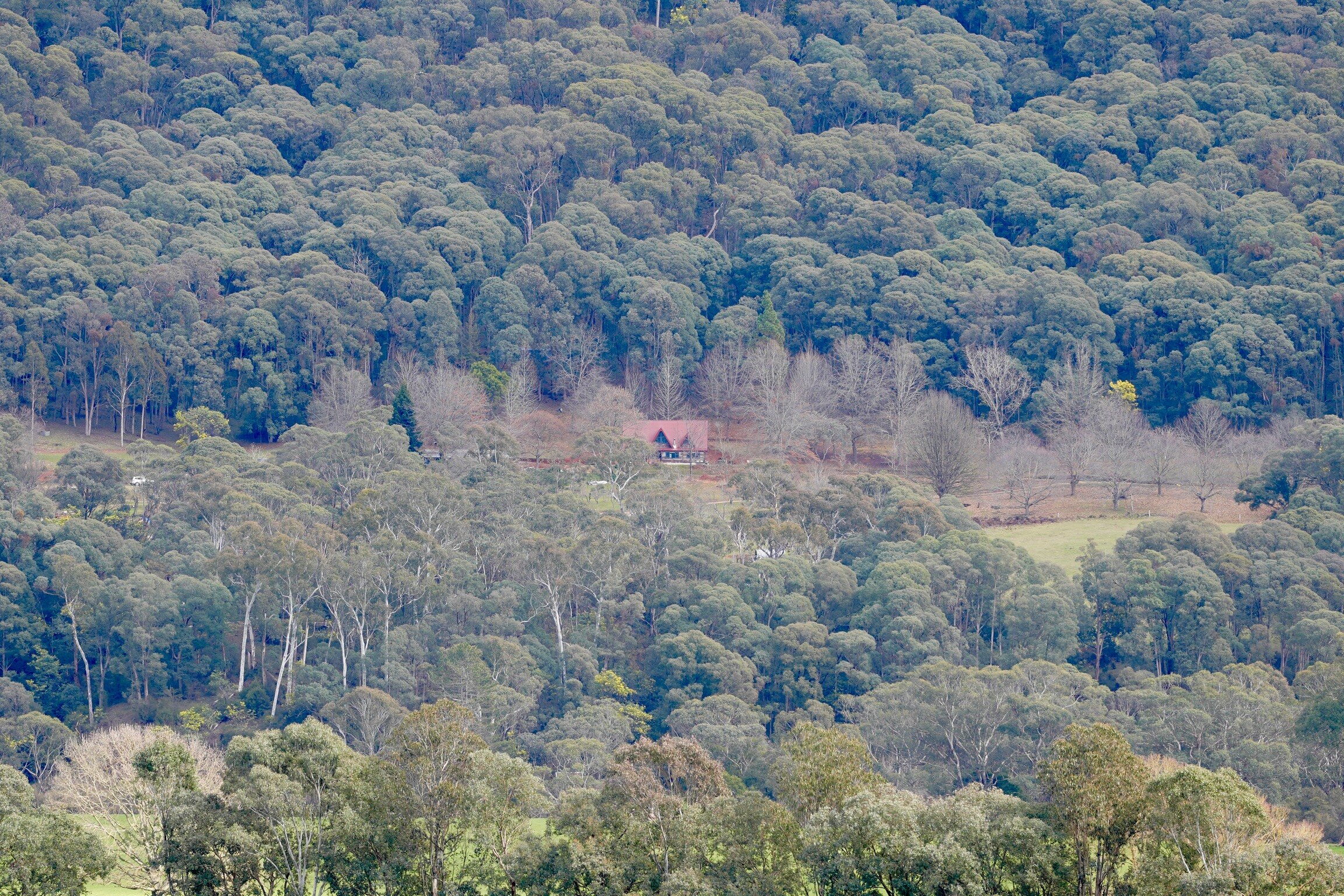 Photos emerge of property where Dezi Freeman lived prior to deadly ...