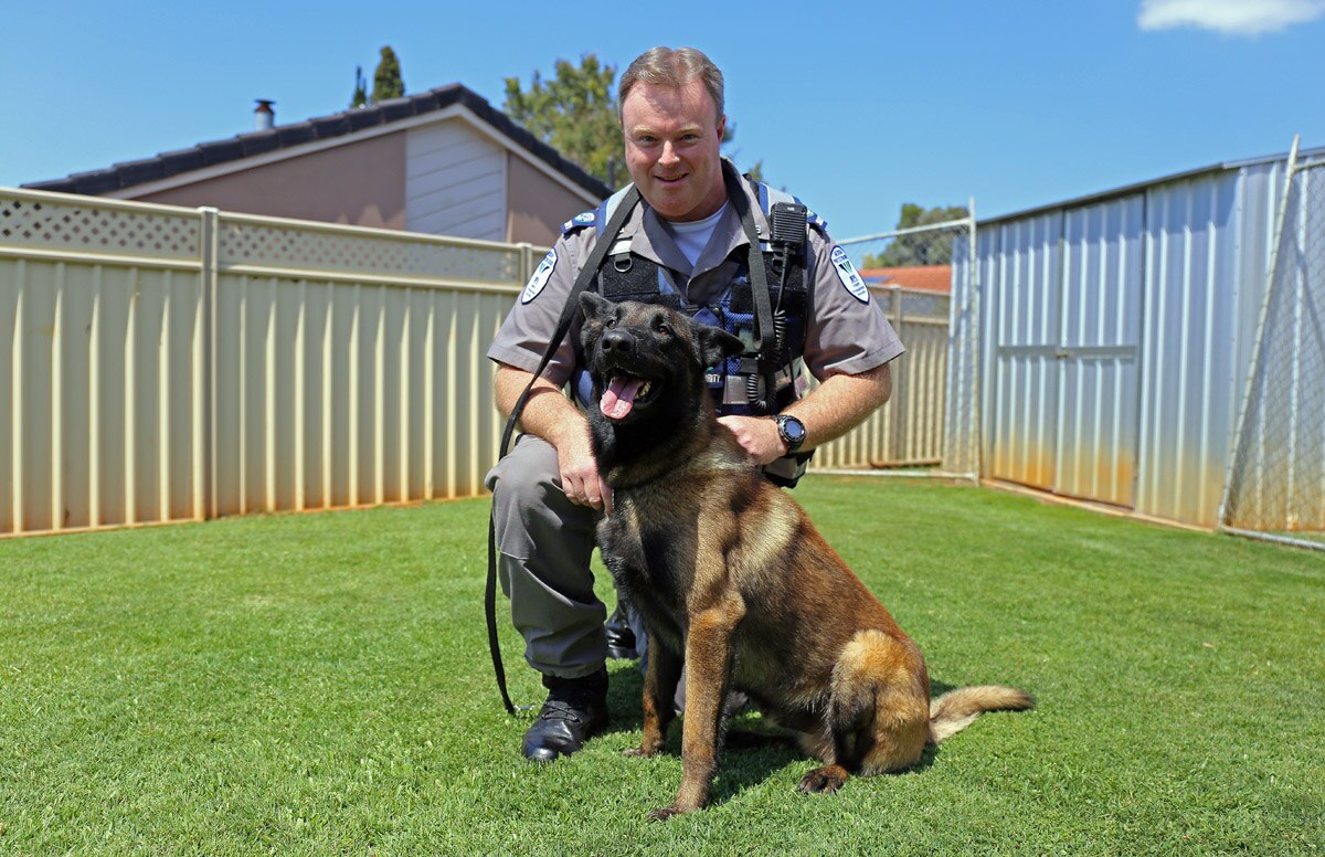 Australian security guard of the year credits canine sidekick for ...