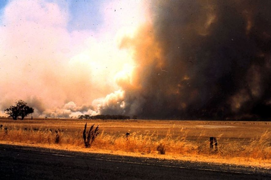 Ash Wednesday bushfires: February 16, 1983 - ABC News Ash Wednesday bushfires: February 16, 1983 - ABC News