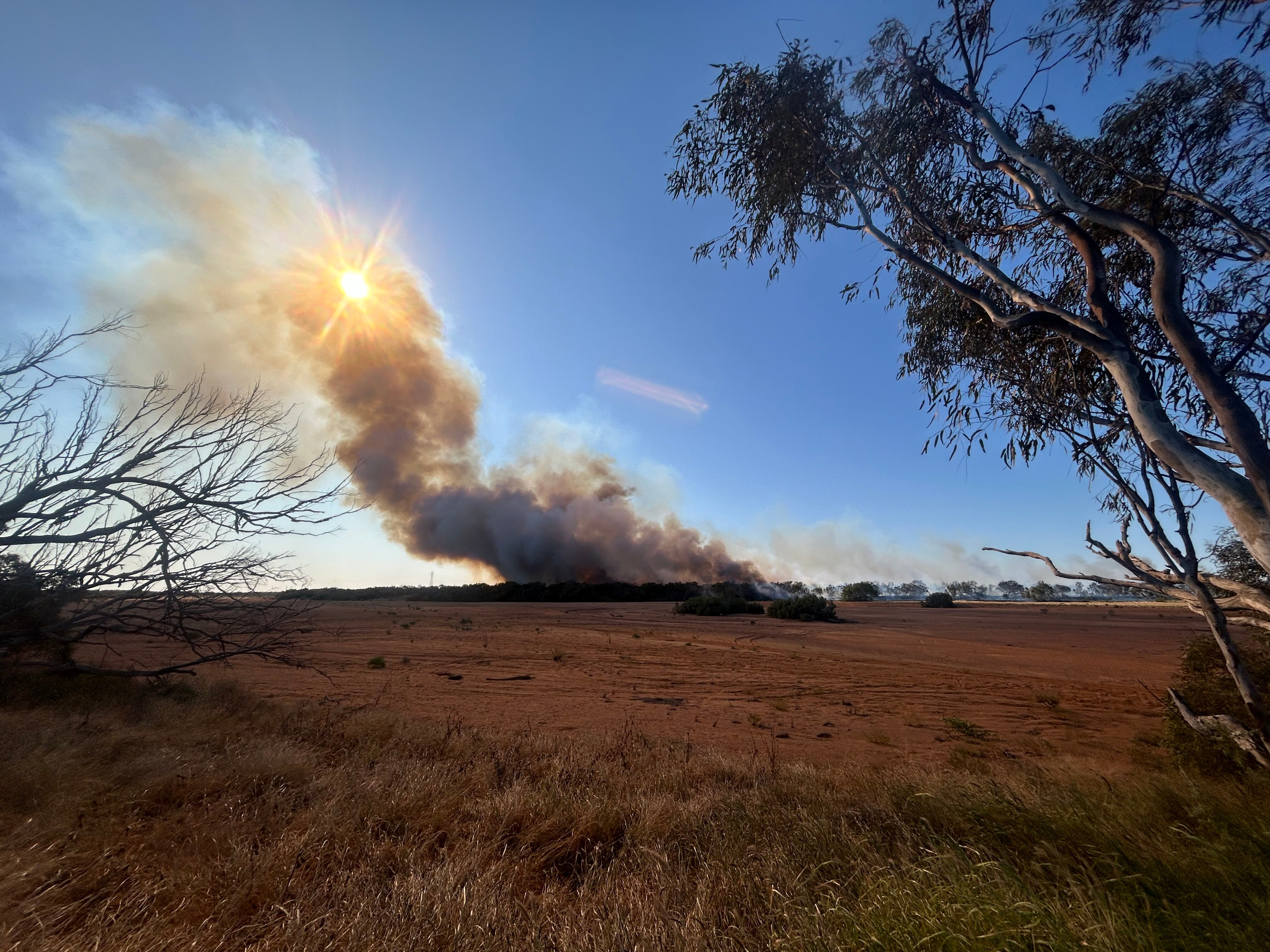 Bushfires - Topic - ABC News