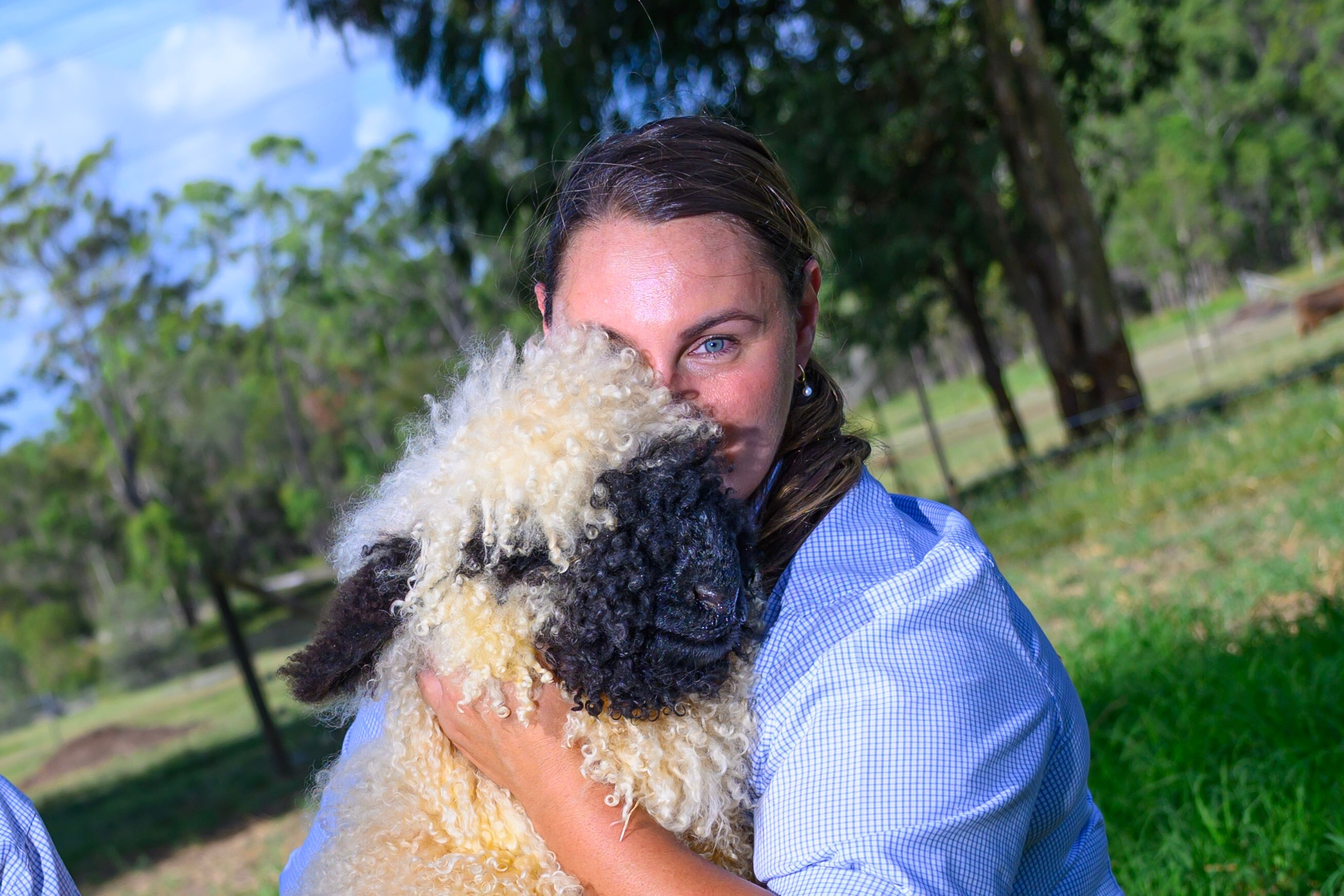 ABC Rural - ABC News