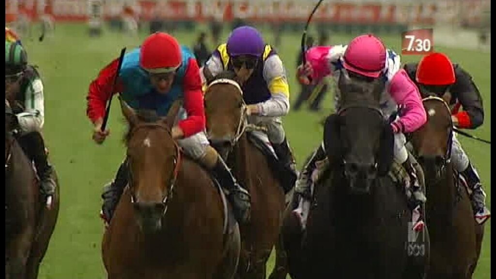 History of horse doping questions sport's reputation - ABC News