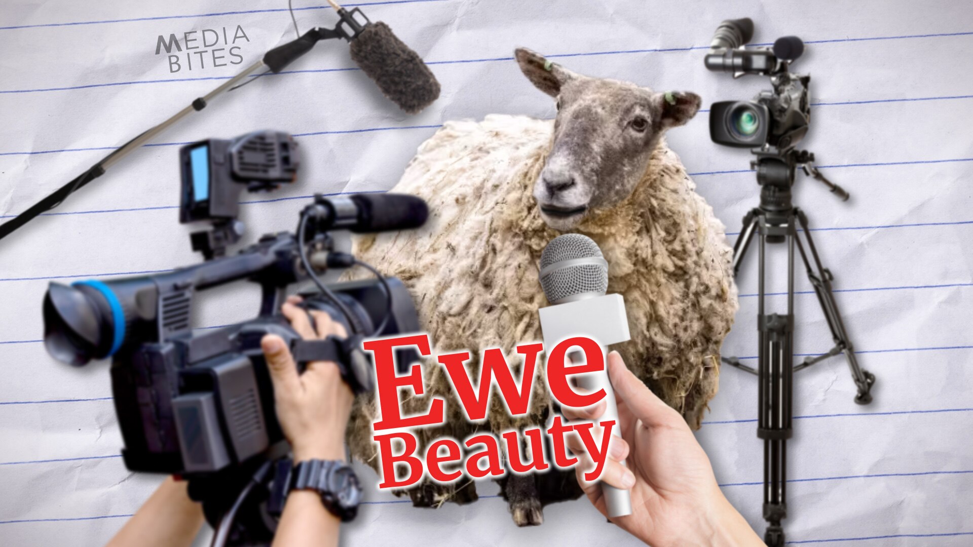 Ewe beauty - Media Watch
