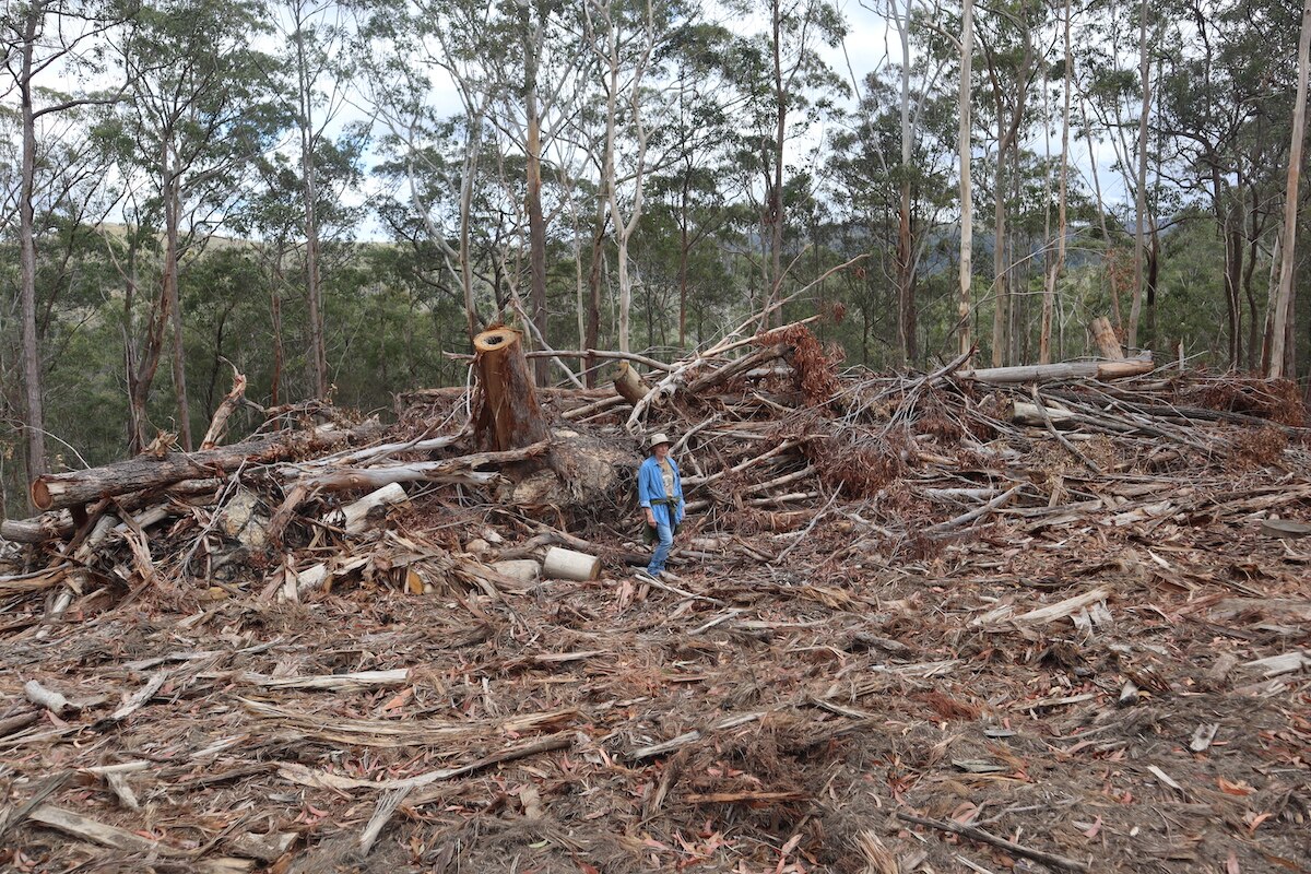Residents and ecologists express bushfire concern over debris left ...