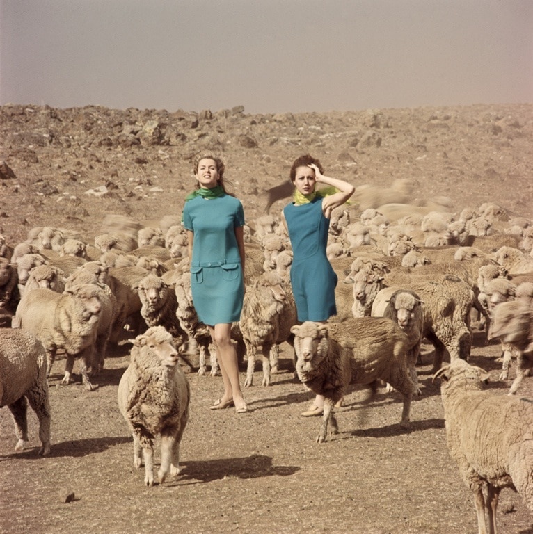 Bleat! How Australia fell off the sheep’s back - ABC listen