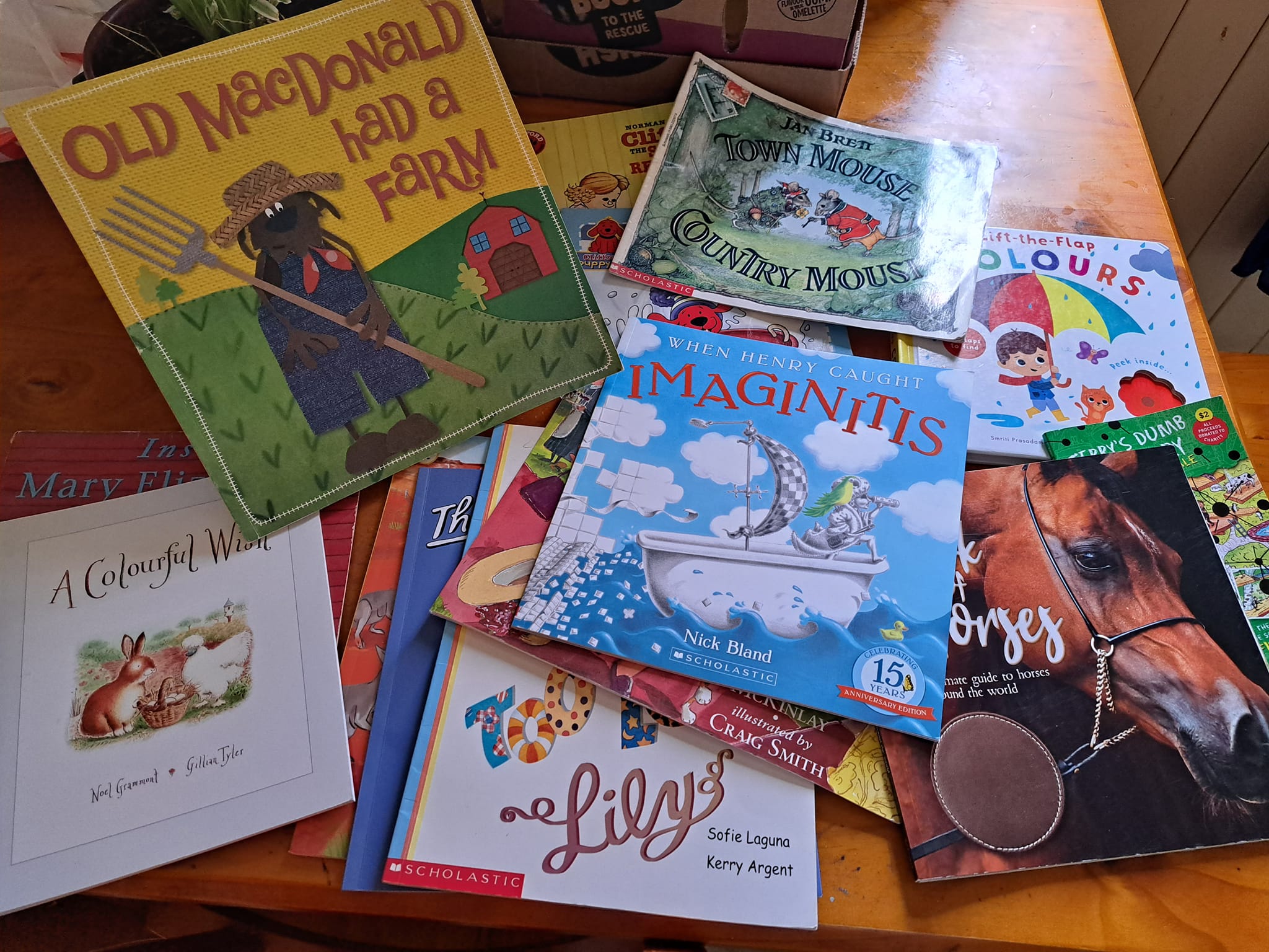 Sharing books through Street Libraries spreads love of reading and ...