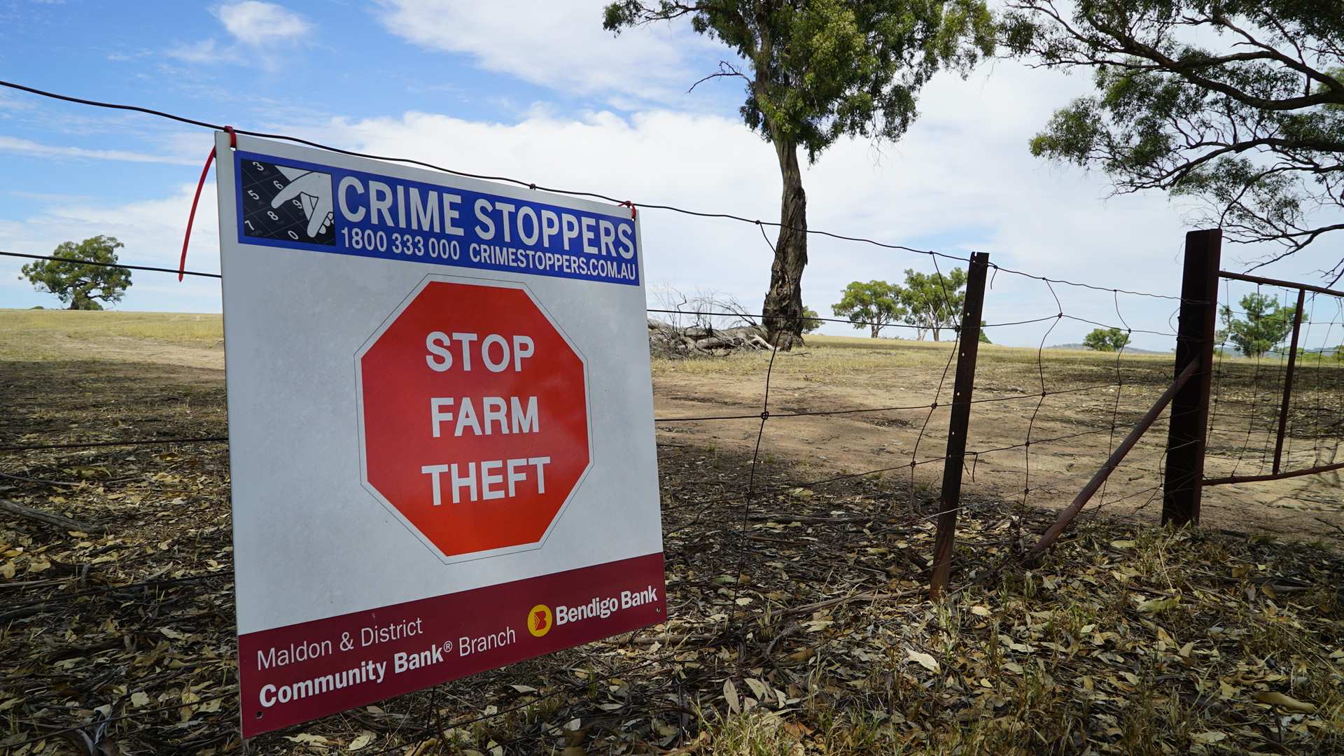 Farmers tighten security as livestock thefts increase - ABC News
