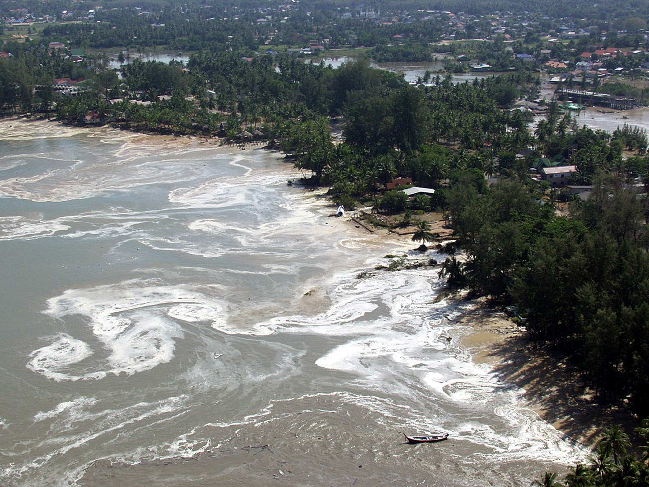 How an Australian forensic biologist helped identify victims of Boxing ...
