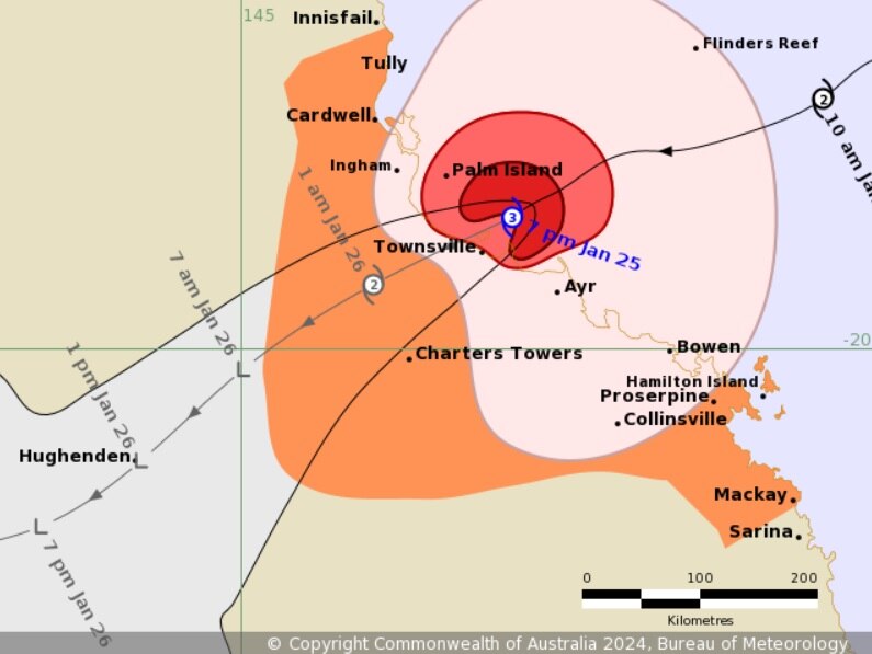'It beggars belief': Bed bug outbreaks highlight Tennant Creek public ...
