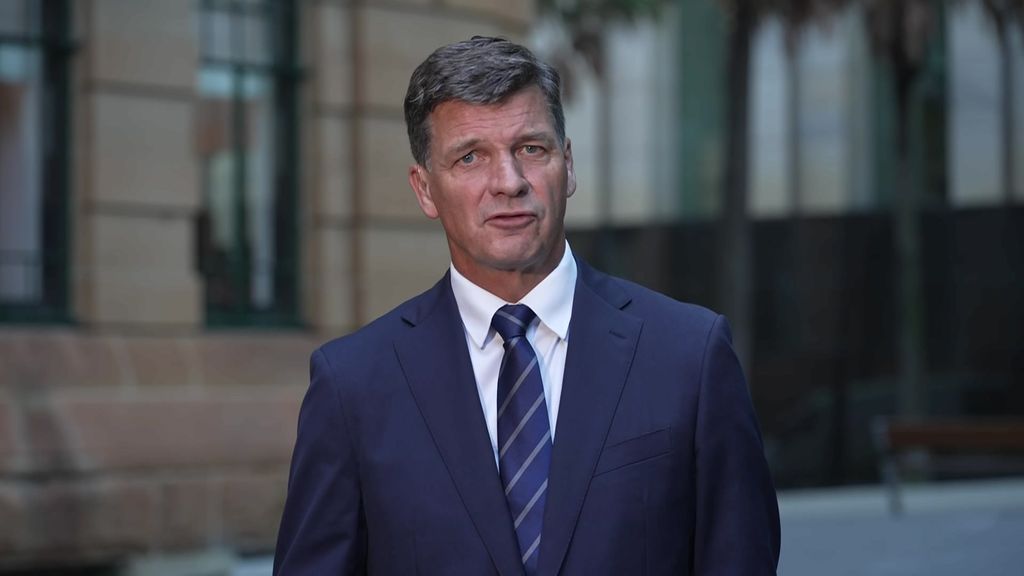 'Too little, too late': Angus Taylor discusses how the Coalition will ...