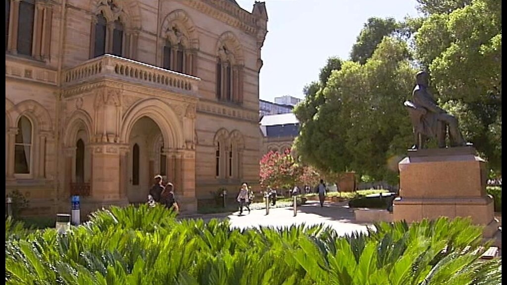 Students settle into new uni setting - ABC News
