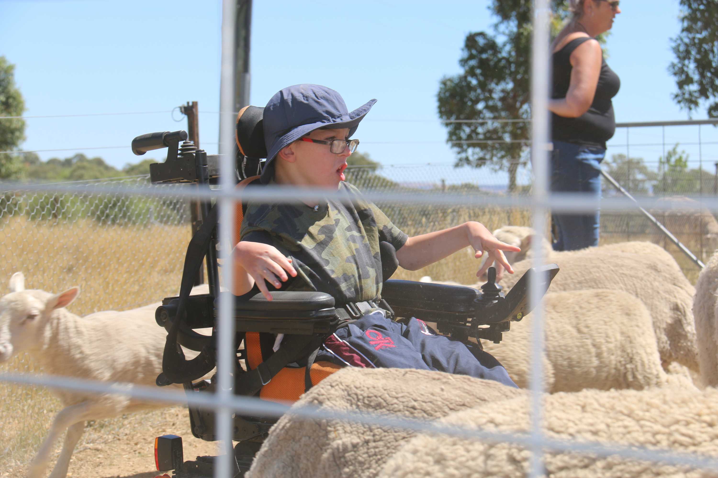 Yass boy with cerebral palsy inspiring others with his love of sheep ...