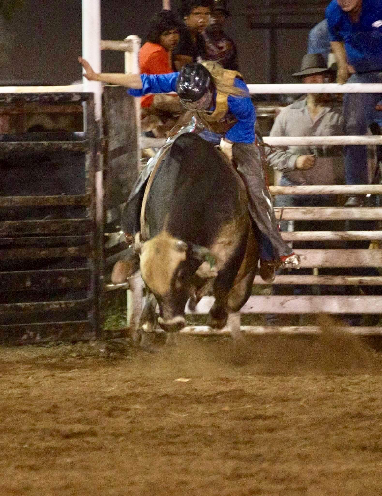 The Australian women taking on the male-dominated sport of bull riding ...