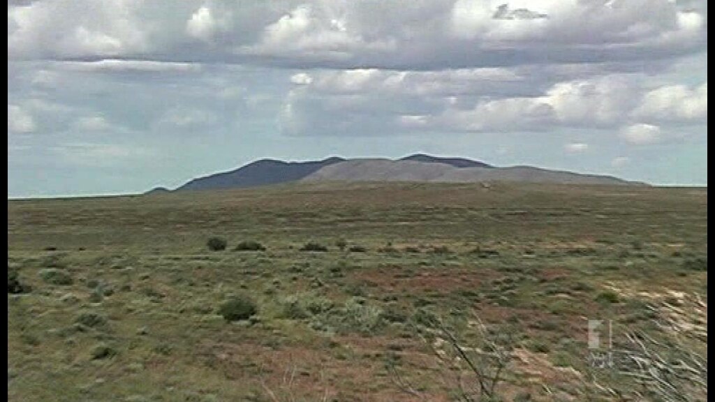 Rain brings new life to parched outback - ABC News