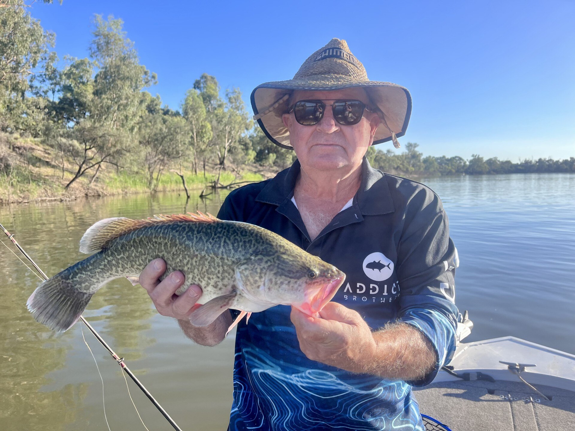 Yabbying still elicits a sense of nostalgia in landlocked Aussies eager ...