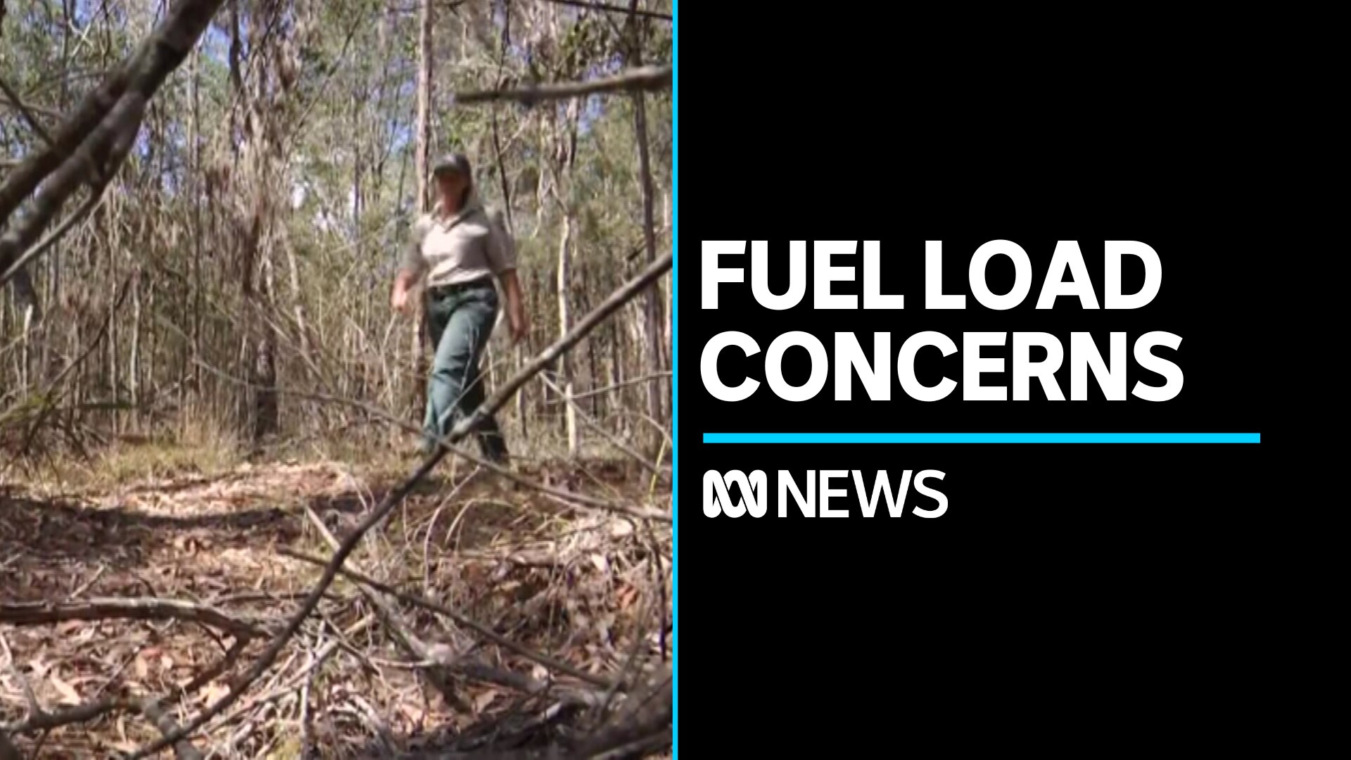 Scenic Rim communities anxious ahead of summer - ABC News