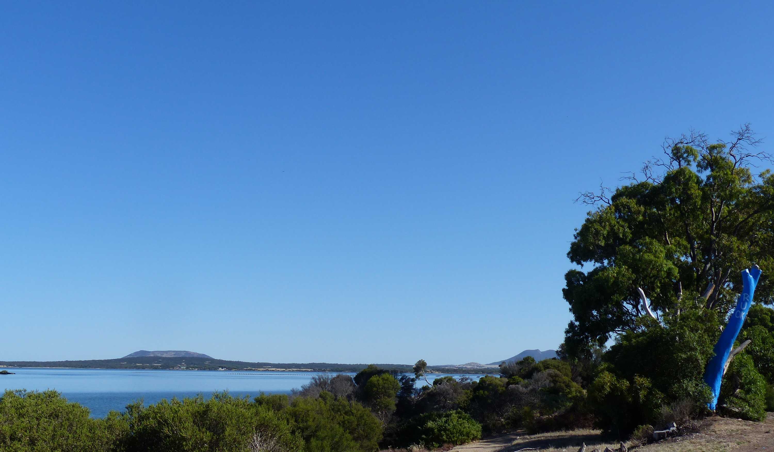Blue Tree Project sparks divide in Loxton, Coffin Bay after trees ...