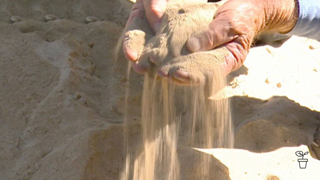 Sandy Soils - Gardening Australia