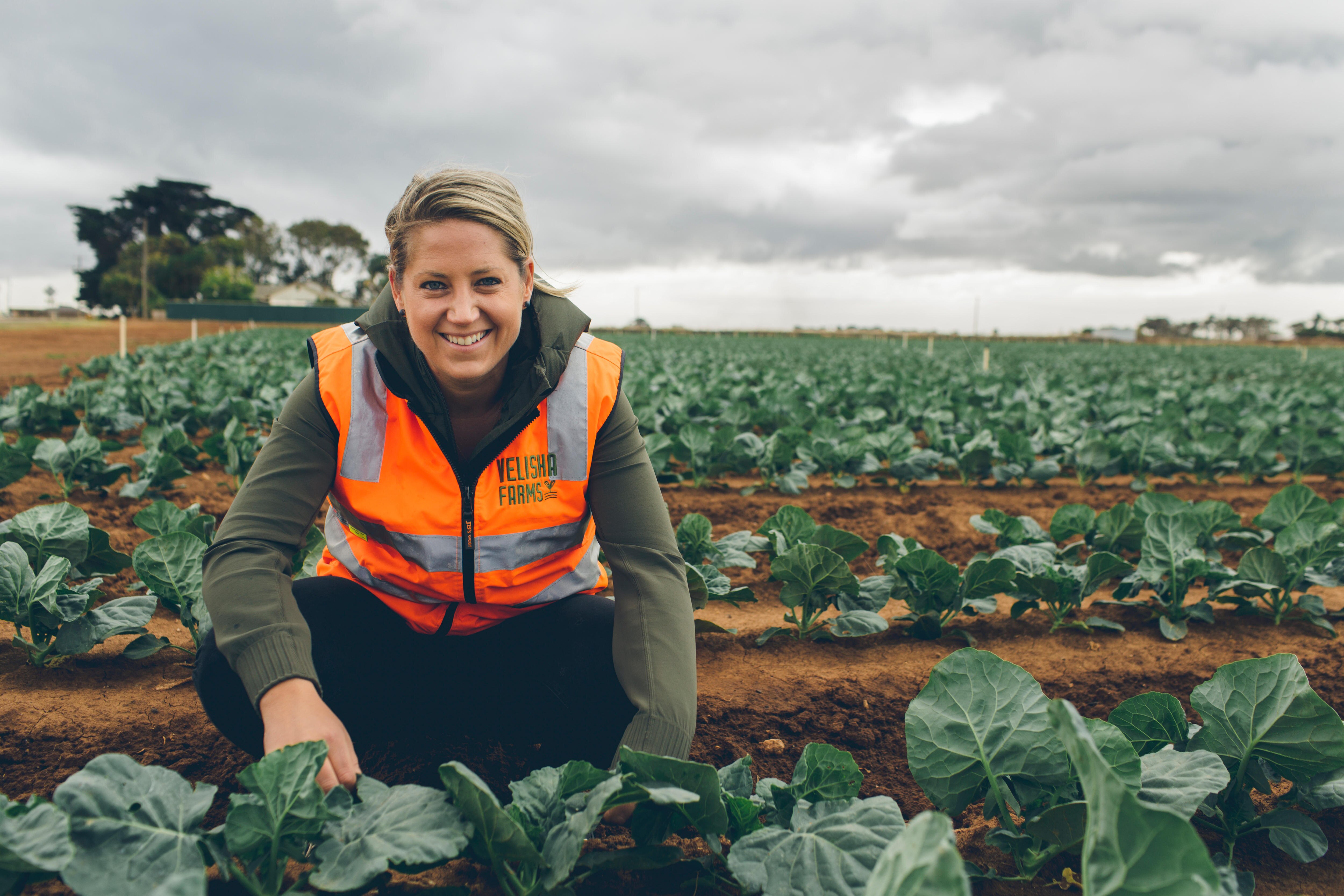 Farmers Pick tackles food waste by redistributing rejected produce in ...