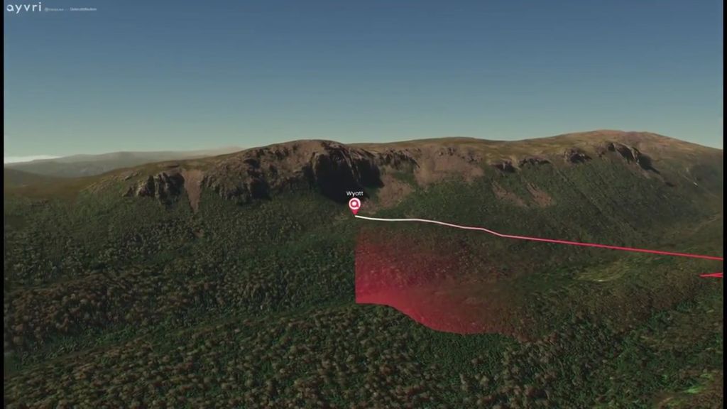 Tracker lights up eagle's flight path - ABC News