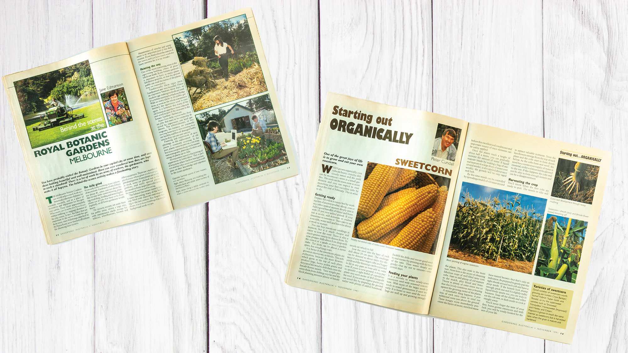 Celebrating 30 years of ABC Gardening Australia magazine - ABC Commercial