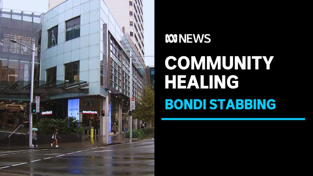 Law, Crime and Justice - Topic - ABC News