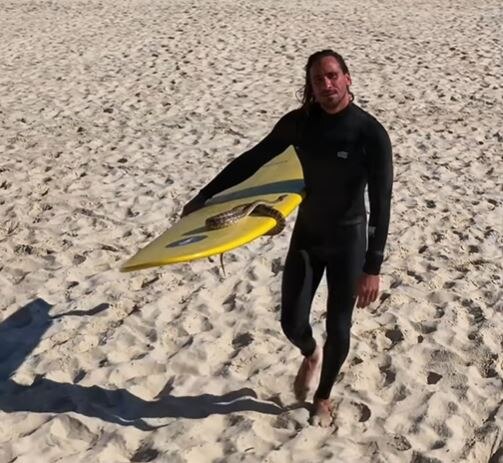 Gold Coast man fined for breaching permit after vision of pet python ...