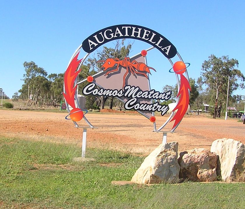 Big plans for outback ant statue - ABC News