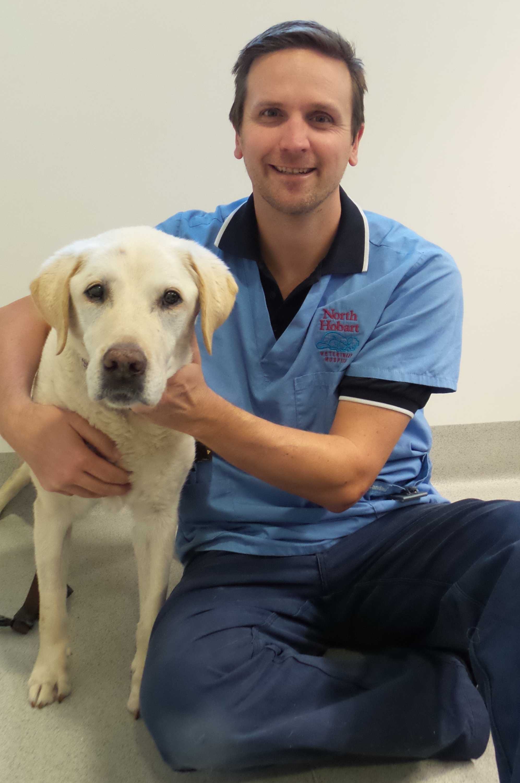 How many ways can a vet describe two dogs mating? - ABC listen