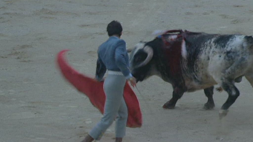 Bullfighting: Culture or cruelty? - ABC News