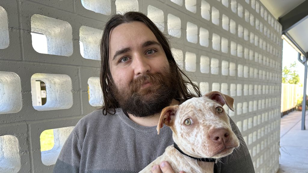 Puppies used to help people living with disabilities become job ready ...