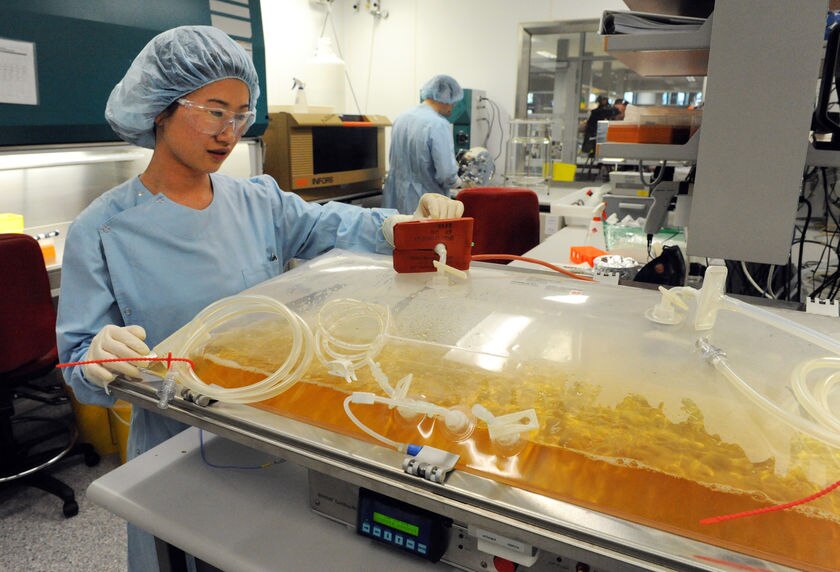 Govt 'created monopoly' on swine flu vaccine - ABC News