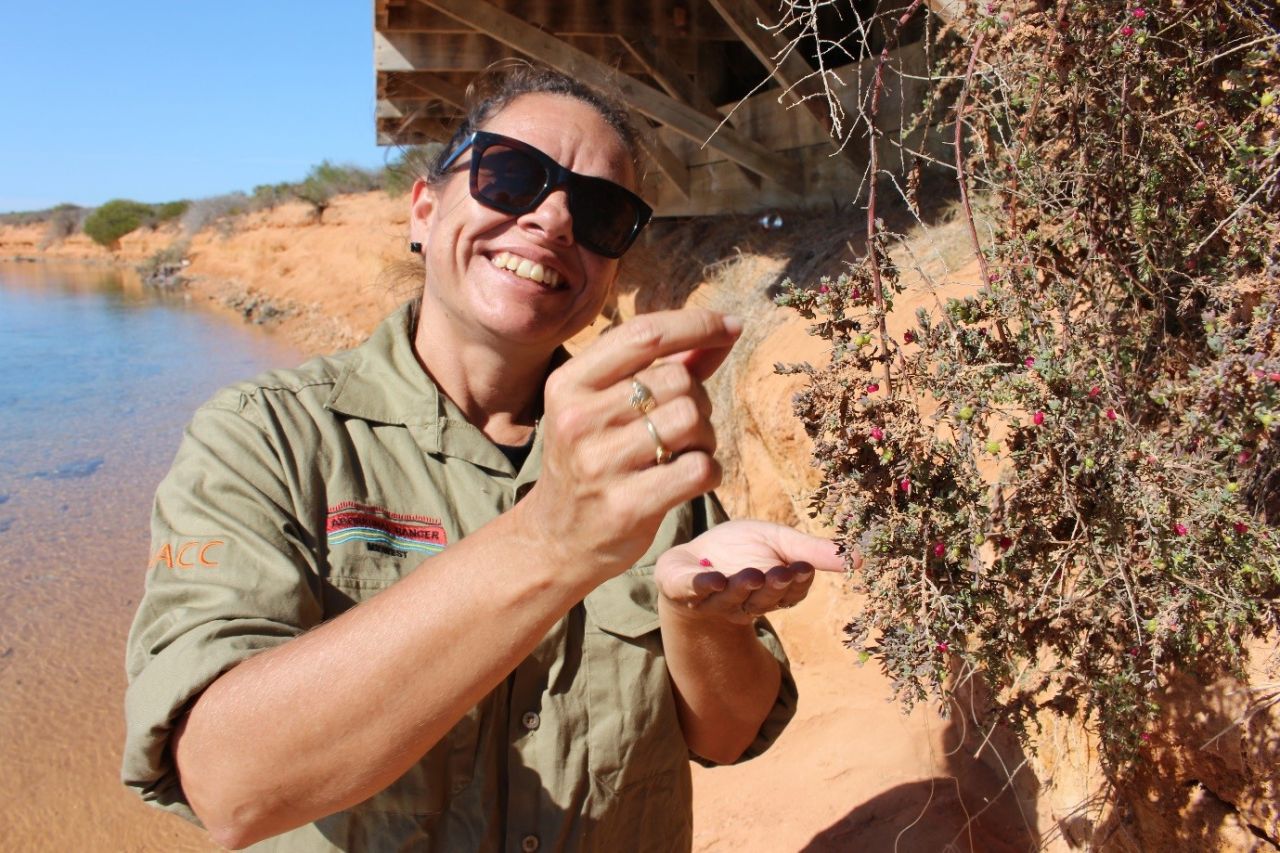 Word Up: Bianca McNeair - ABC listen