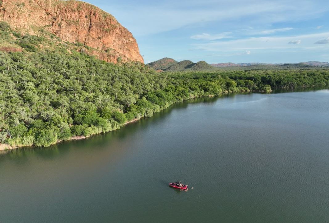 Saltwater crocodiles in upper Ord River raise concerns for Kununurra ...