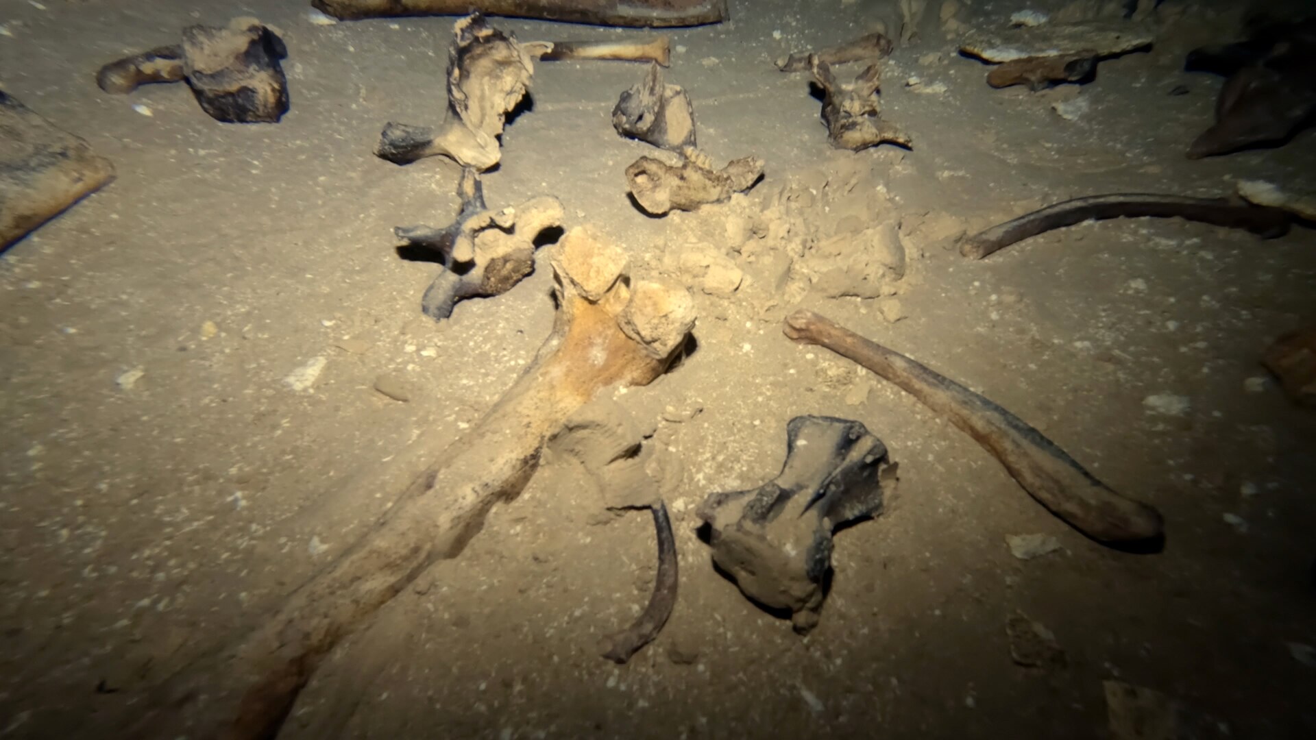 Tank Cave - ABC Education