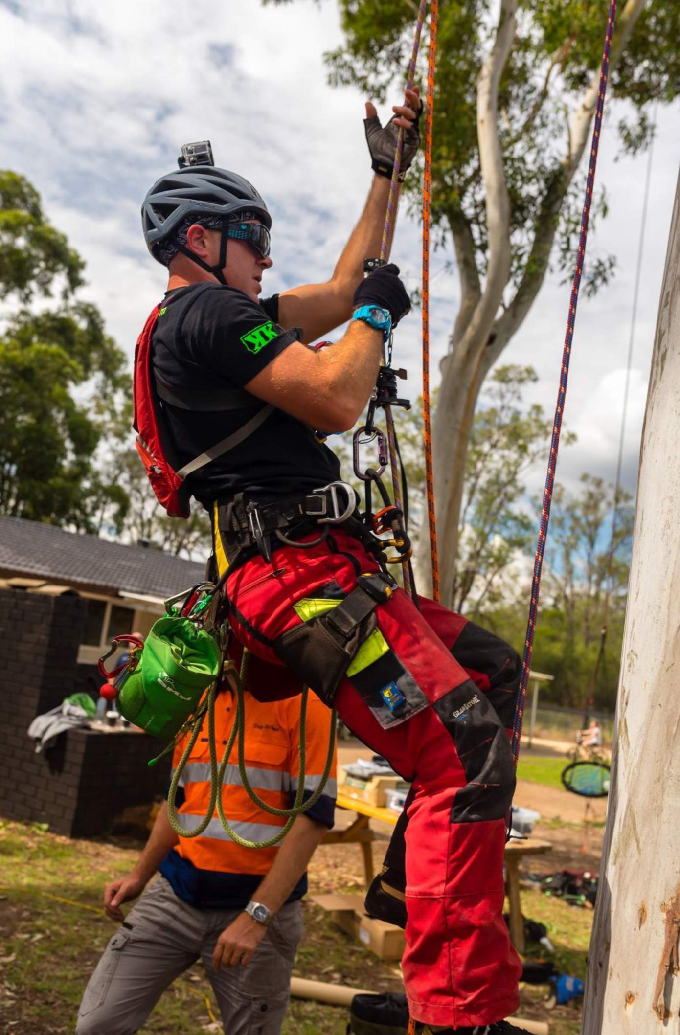 Arborists to show off tree-climbing skills in inaugural ACT ...
