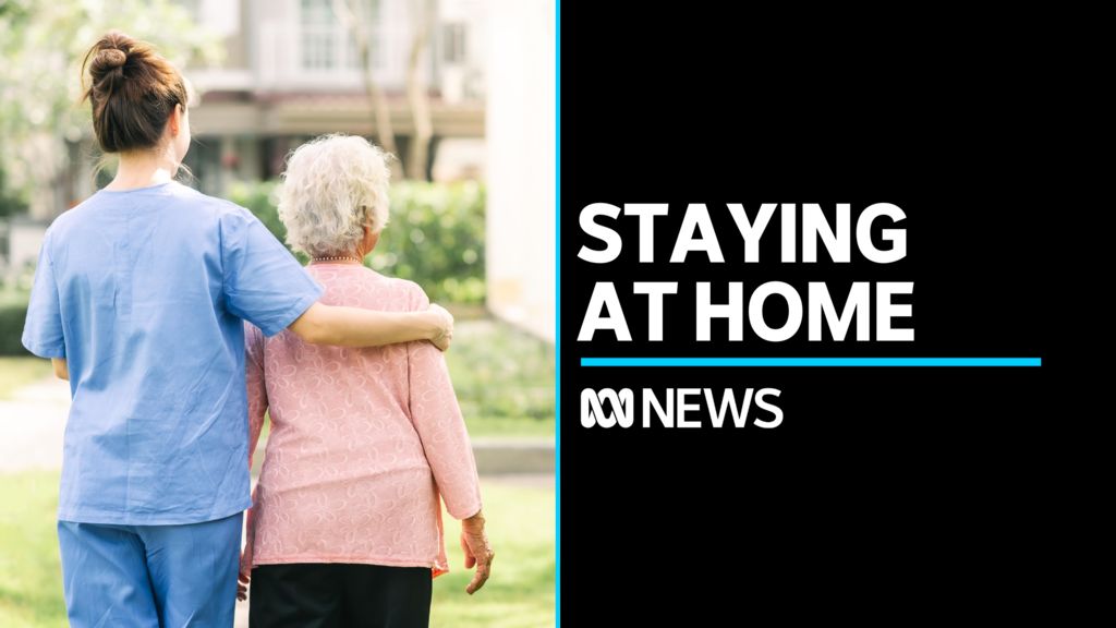 Chinese krill processing ship in Antarctica - ABC News